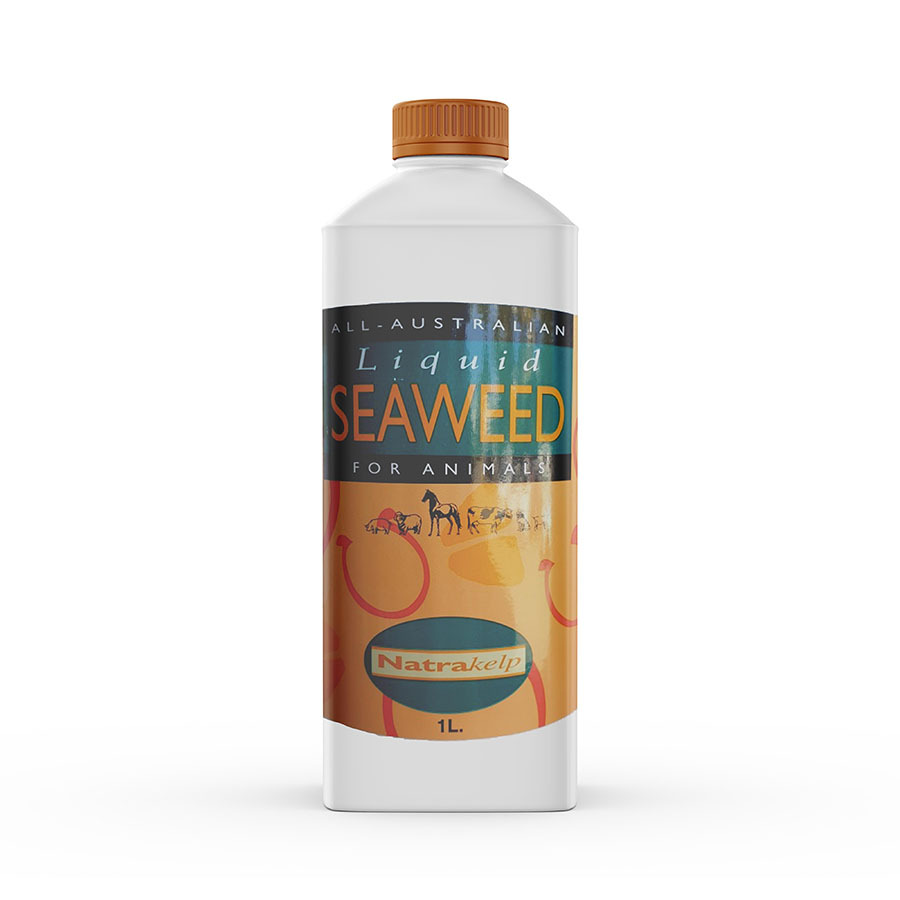 NATRAkelp Liquid Seaweed for Animals concentrated kelp