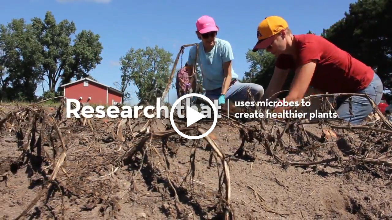 Microbe Mania | Plant Doctor